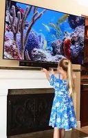 Evolution Home Corp | Evolution Homepage